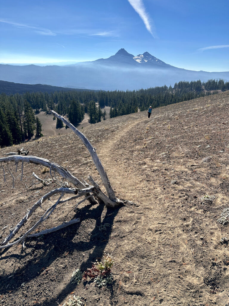 Hiking Belknap Crater in the Mountain Washington Wilderness - SoCal Hiker