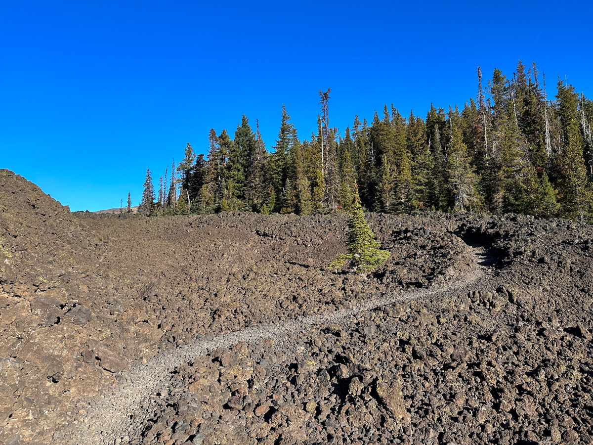 Hiking Belknap Crater in the Mountain Washington Wilderness - SoCal Hiker